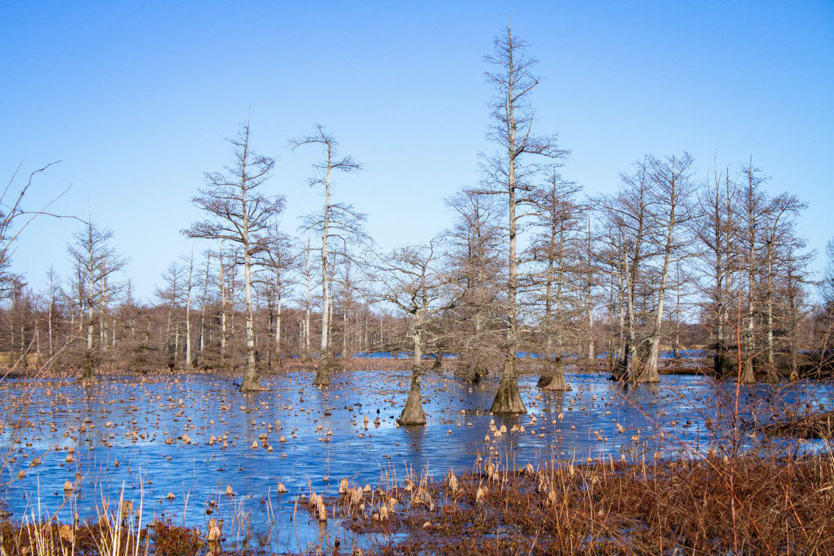 Arkansas | Polaris Adventures