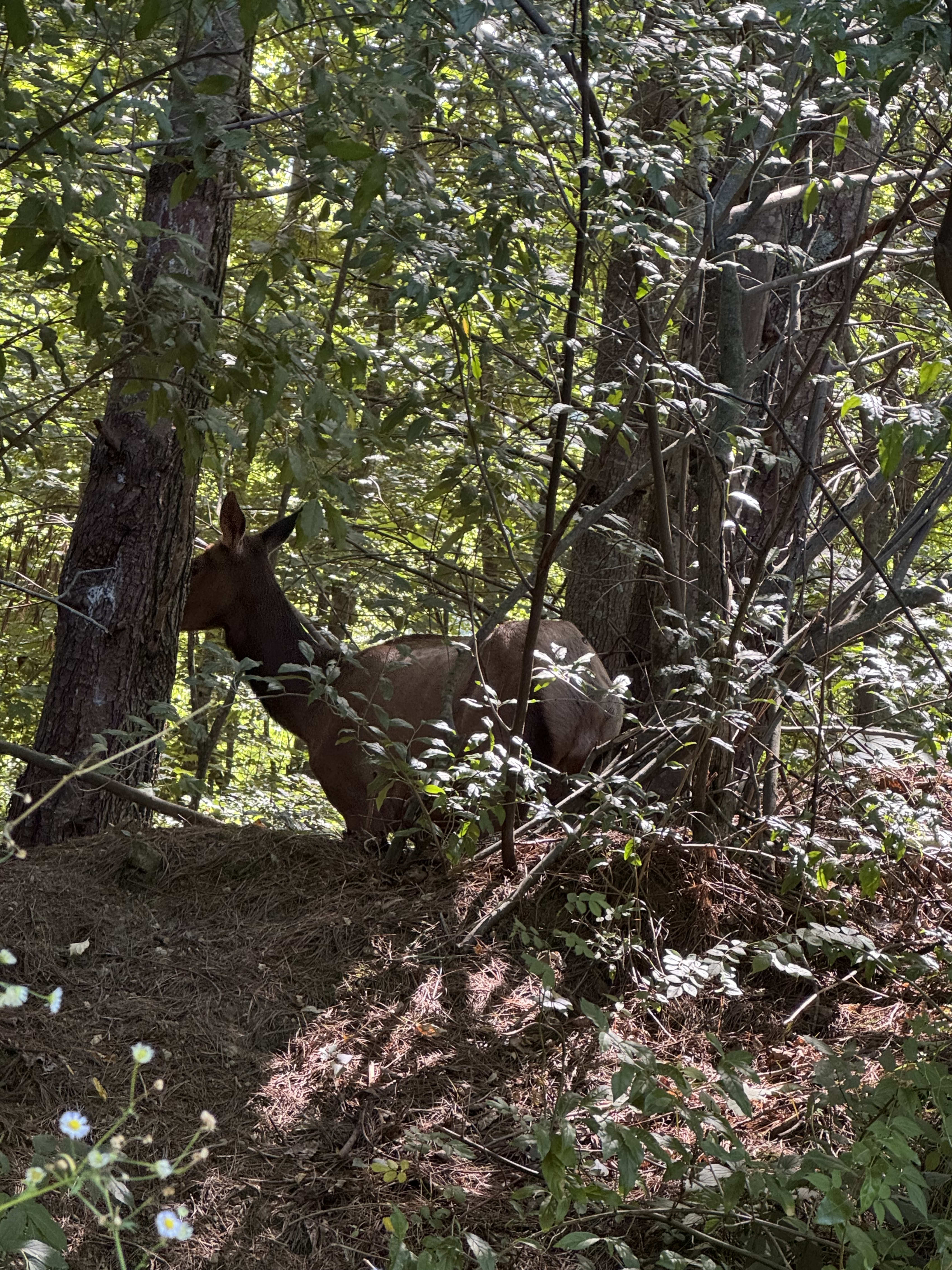 Off-Road Tours | Slemp, Kentucky | Polaris Adventures